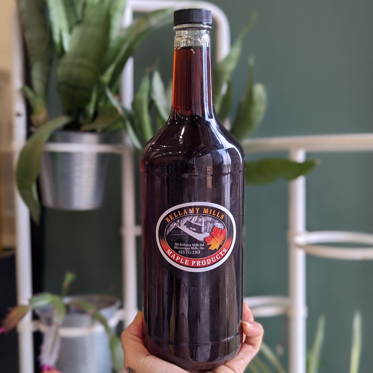 Bellamy Mills - Amber Maple Syrup 1L – Almanac Grain